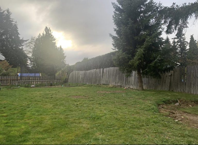 How to Plant Grass - Backyard Redo