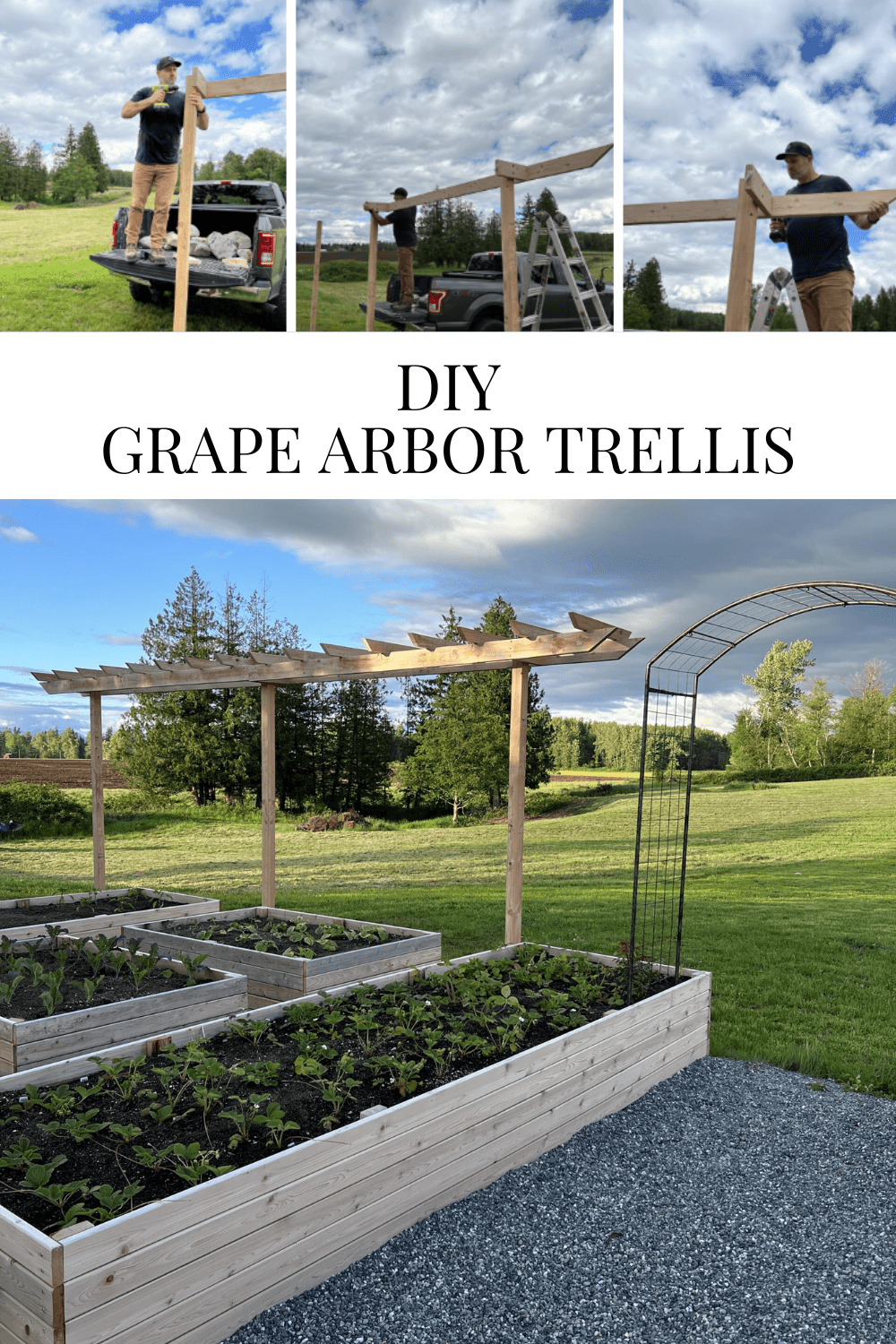 DIY Grape Arbor Trellis