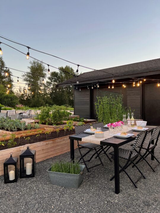 Lilac Hedge - Spring Dining