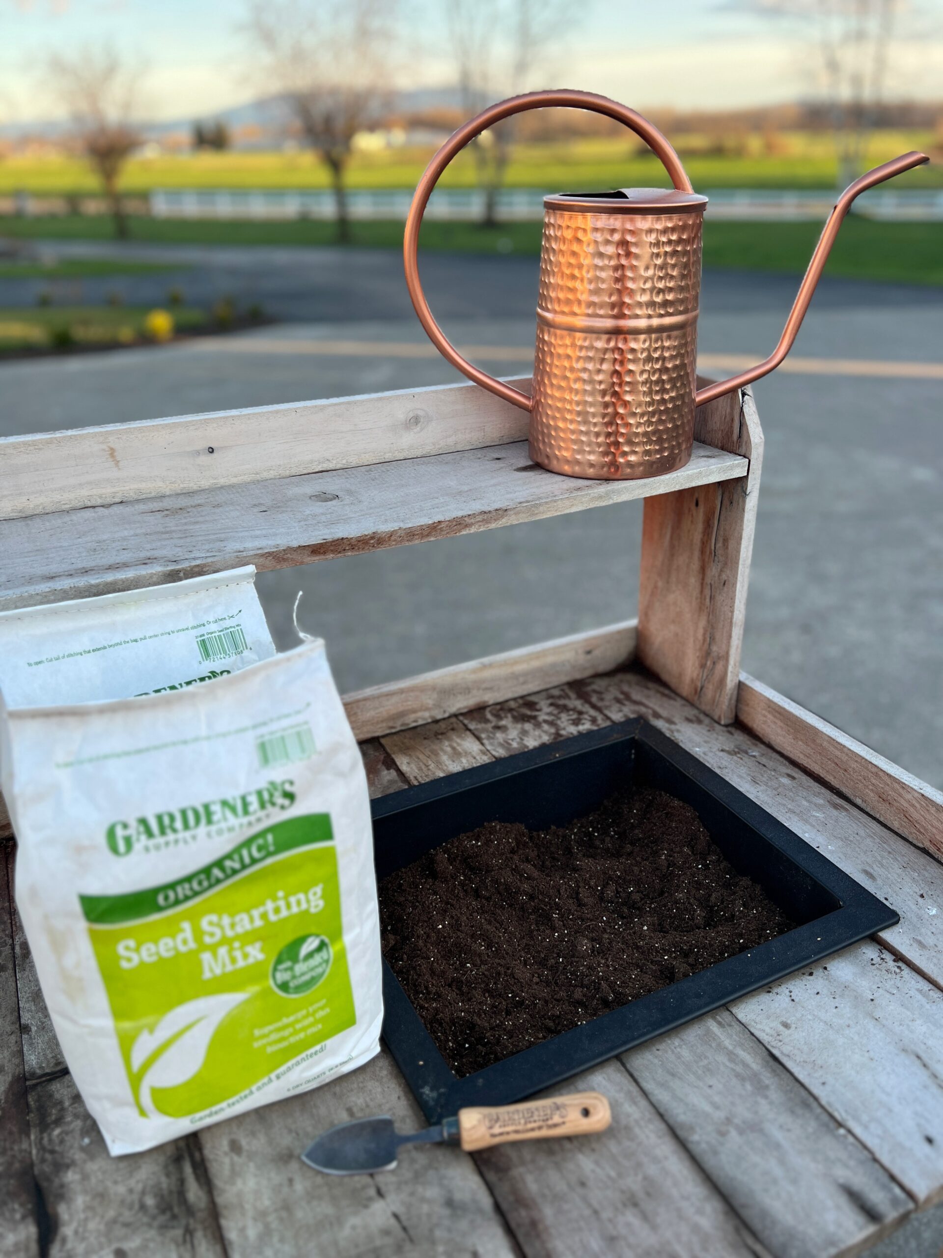 Spring Planting : Seed Starting