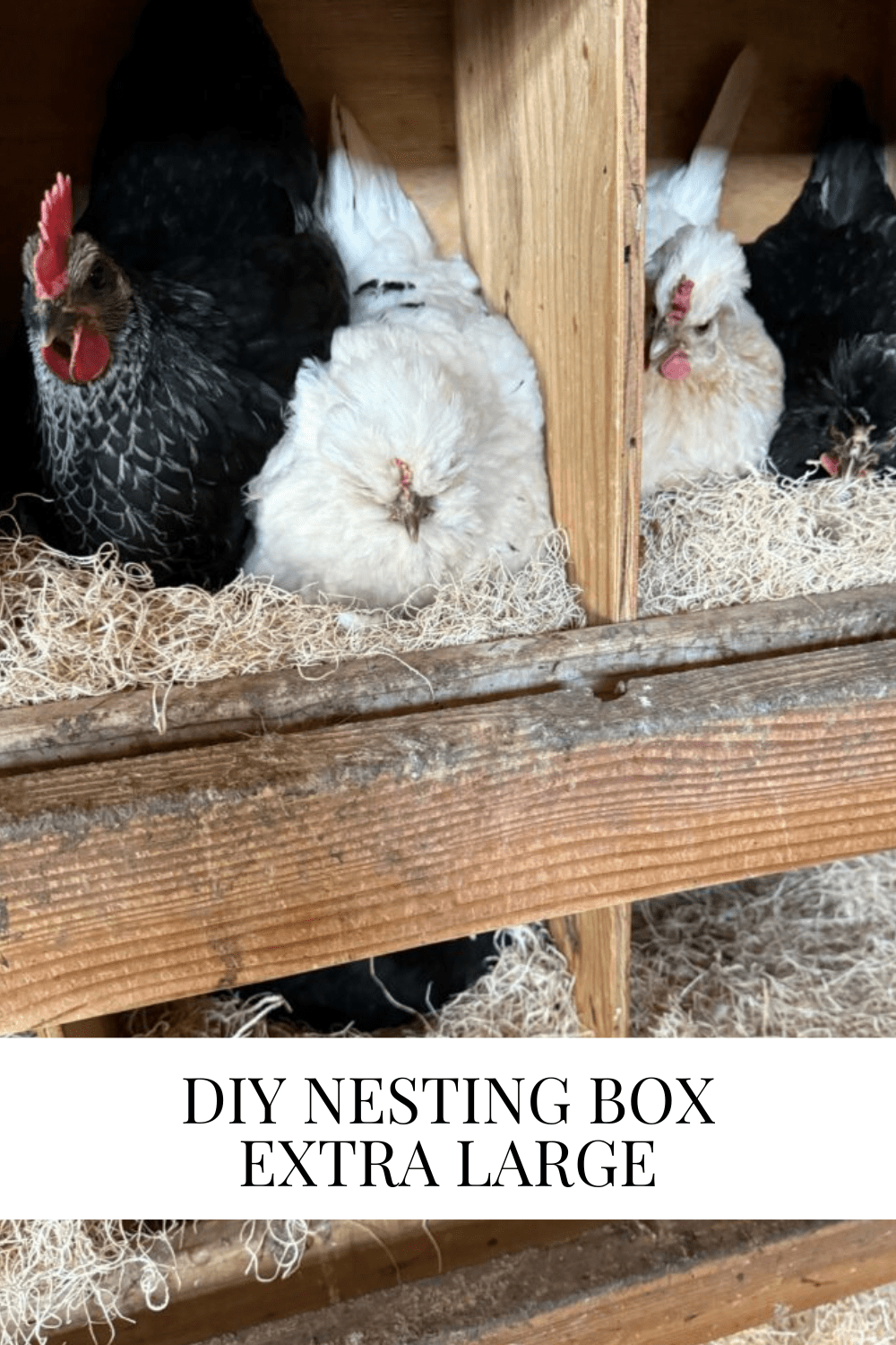DIY Nesting Box - Extra Large